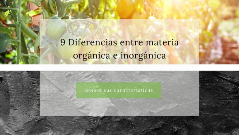 9 Diferencias entre materia orgánica e inorgánica | Genia Bioenergy