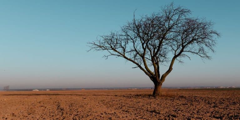 El problema de la sobreexplotación del suelo - Genia Bioenergy