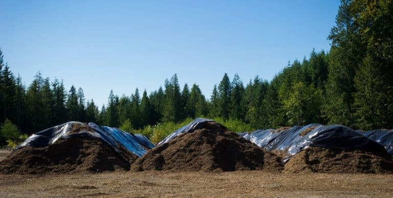 El compost como parte de la economía circular y los objetivos de ...
